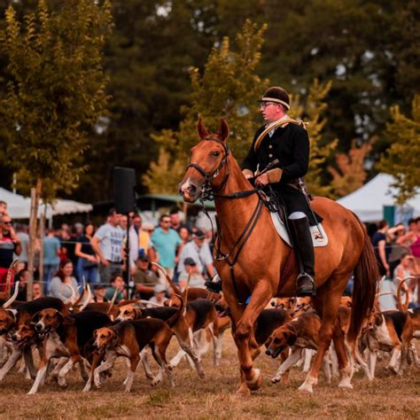 Fête De La Chasse Lévénement De Chasse Incontournable