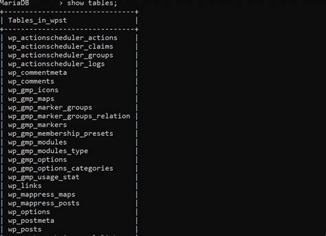 Fixing WordPress Error Establishing A Database Connection Error