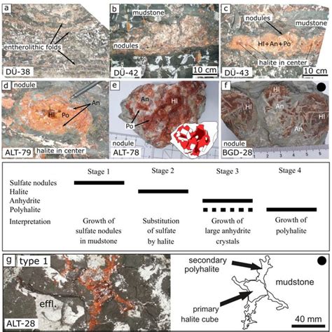 Halite Anhydrite Polyhalite Nodules And Polyhalite Type 1 Polyhalite