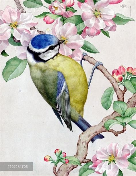 (32) Gallery.ru / Фото #8 - 2 - Fyyfvbwrtdbx1957 | Watercolor bird ...