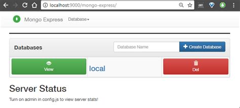Nodejs How To Remove Omit `mongo Express` Node Express Middleware