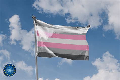 Demigirl Pride Flag Unique Design Print High Quality Etsy