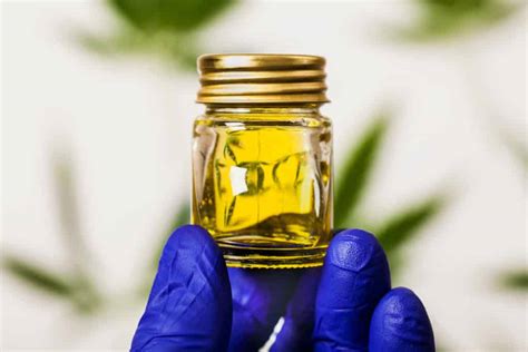 Cbd Extraction Crash Course Everything You Need To Know