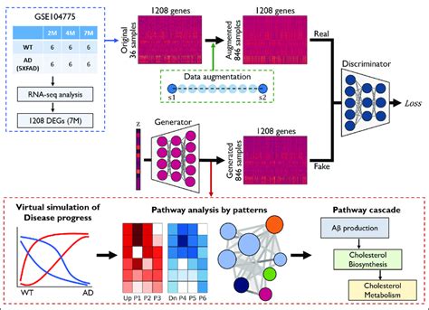 Overview Of The Application Of The Gans To Bulk Rna Seq Data Rna Seq