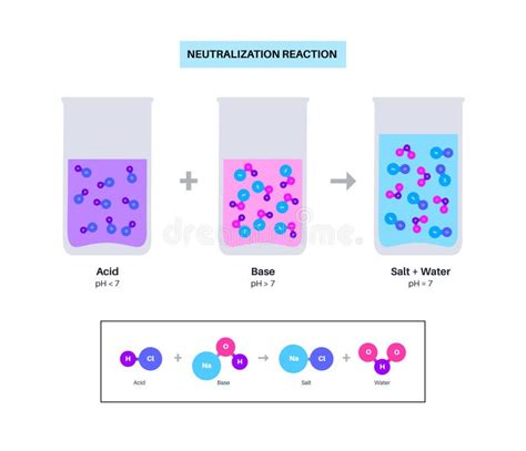 Sodium Hydroxide Neutralization Solved 1 The Enthalpy Of