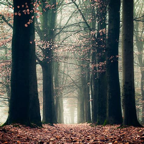 Abby The Ghost On Tumblr