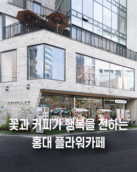 에이치콘테 전시ㆍ카페ㆍ아트ㆍfandbㆍ팝업 생화와 커피가 전하는 일상의 쉼표 플로라운지 광고 바쁜 도심 속 꽃과 함께하는 여유로운 휴식을 찾고 계신가요 홍대에