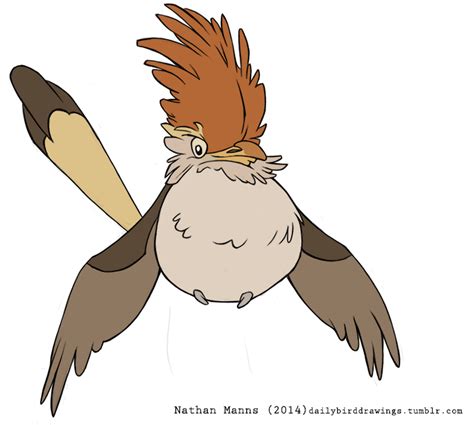 The Big Imageboard Tbib 2014 Ambiguous Gender Artist Name Avian