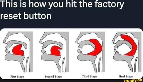 This Is How You Hit The Factory Reset Button Final Stage Ifunny