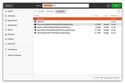 Please Add A Save As New File Dialog · Issue 799 · Miguelpruivo