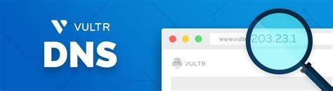 get more with vultr dns