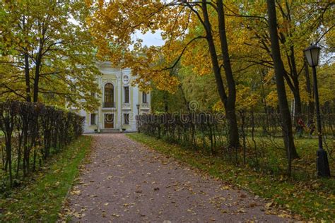 The Alley Is Surrounded By Autumn Trees Stock Photo Image Of Country Landscape