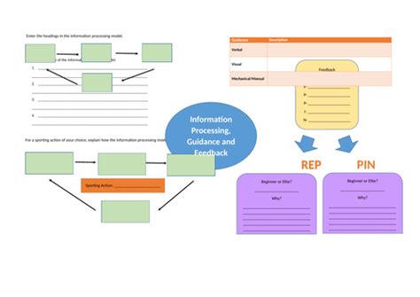 Aqa 9 1 Gcse Pe Revision Learning Mat Information Processing Guidance