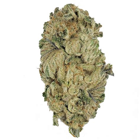 Jack Herer Strain Weed Delivery
