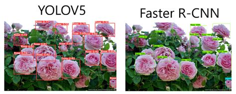 Github Atharvadumbre Detection Identification Flowers Detecting And