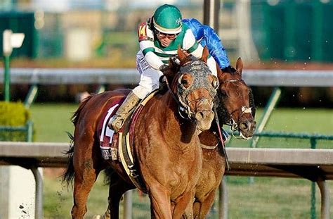 シティオブライトとアクセラレイトが引退、種牡馬入り Jra Van World 海外競馬情報サイト