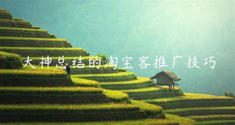 大神总结的淘宝客推广技巧幕思城