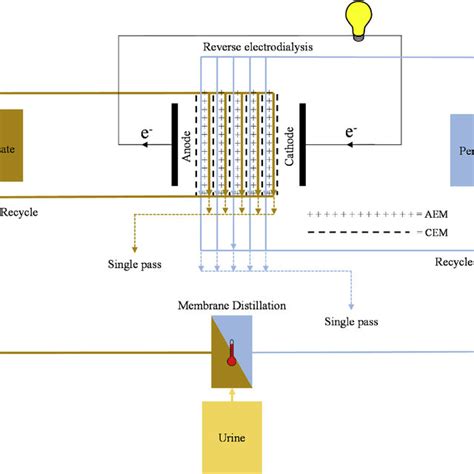 Schematic Of The Operation Modes Single Pass Recycle Practiced In