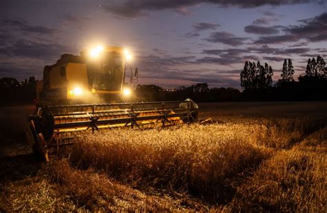 Commodity Trading Hedge Funds Are Having A Strong Year Wsj