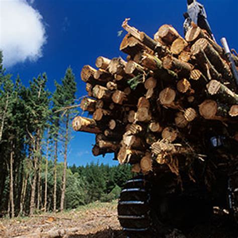 Almi Invest Investerar I Cind Almi