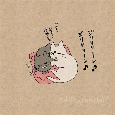 Pin By Jooom On Cute Catoon Cat Icon Cat Expressions Cat Doodle