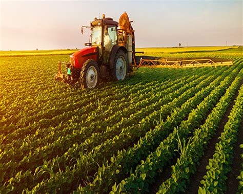 Congo Launches Safe 2020 Project To Boost Agriculture CEMAC ECO FINANCE