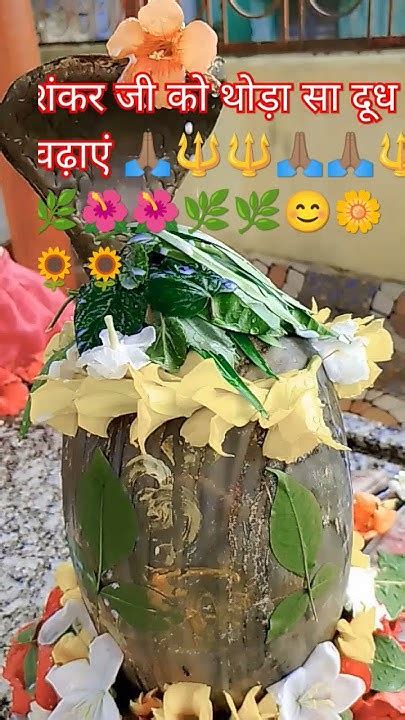 थोड़ा सा भी अगर दूध चढ़ जाए तो बहुत भलाहोगा 🌻😊😊🌿🌺🔱🔱🔱🙏🏽🙏🏽🙏🏽 Youtube