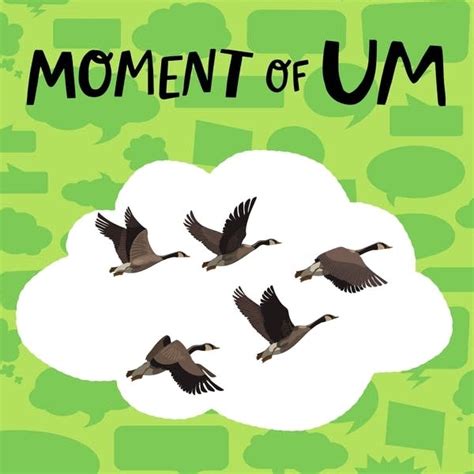 How Do Birds Know When Its Time To Migrate Moment Of Um