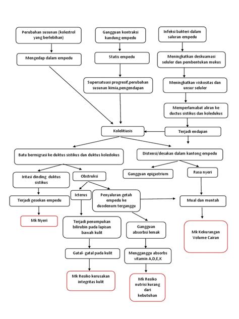 Rangkuman Mekanisme Terjadinya Kolelitiasis Dan Komplikasinya Pdf