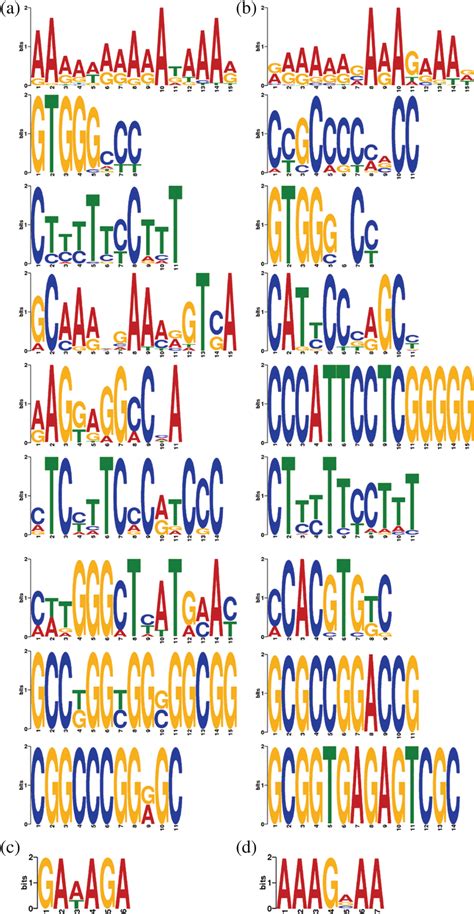 meme significant motif sequence map download scientific diagram