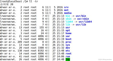 Linux命令的理解cd Opt Csdn博客