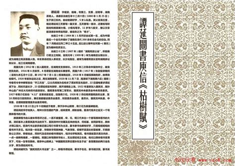 谭延闿楷书欣赏庾信《枯树赋》书法图书书法欣赏