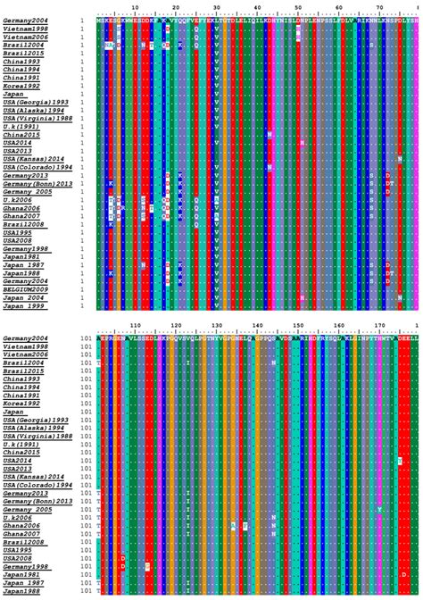 Multiple Sequence Alignment For A Part Of The Retrieved Strains For The Download Scientific