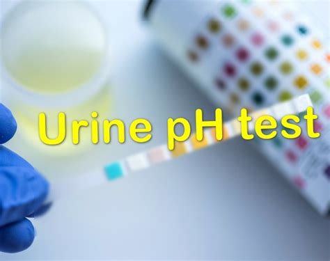 Urine Ph Test Procedure Causes Normal Low High And Clinical