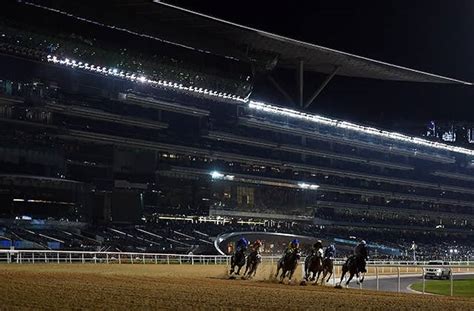 ドバイwc狙うニューゲート、米西海岸から現地へ出発 Jra Van World 海外競馬情報サイト