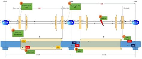 Understanding Link Pass Through Lpt And Link Loss Forwarding Llf