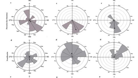 R Add A Arrow On A Circular Barplot With Ggplot2 Stack Overflow