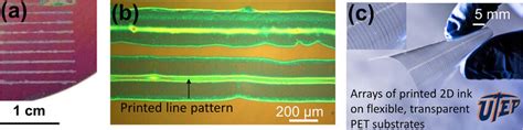 a digital image showing printed lines patterned with the prepared ink