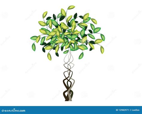 Illustrated Tree With Twisted Trunk Stock Illustration Illustration