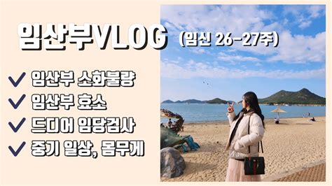 임산부브이로그 임신 26 27주 일상 임당검사 임신중기증상 임산부속쓰림 임산부 효소 임산부영양제 몸무게
