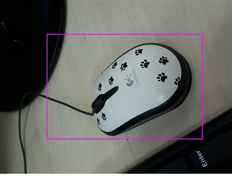 Photo Capturing Without Imgproc Rectangle Opencv Qanda Forum