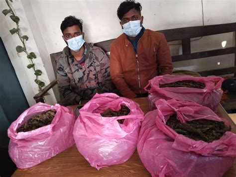 कञ्चनरुपमा ८ किलो गाँजा सहित २ जना पक्राउ Ablokit Daily