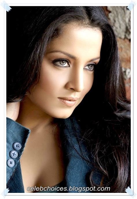 Celebrities Collection Celina Jaitely Hot Scans