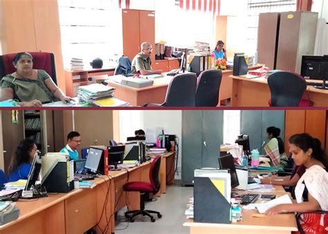 පාලන අංශය