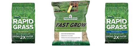 Best Quick Grow Grass Seed Top 5 Picks And Review