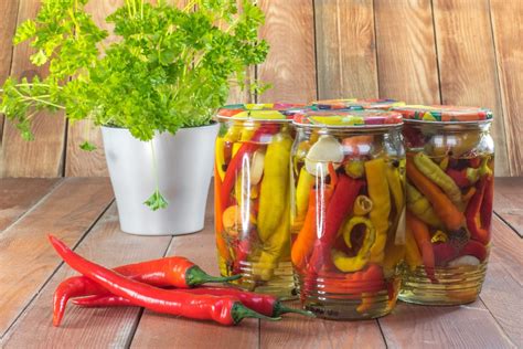 Горький перец на зиму простой и вкусный рецепт как приготовить пошагово