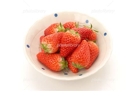 Photolibrary