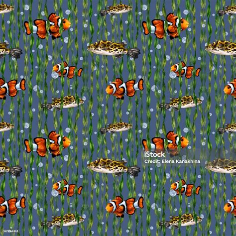 화려한 열대 광대 물고기 표범 물고기 및 해초가 있는 매끄러운 패턴 섬유 직물 배너 포장지 벽지 및 기타 디자인의 배경 검은색에 대한 스톡 벡터 아트 및 기타 이미지