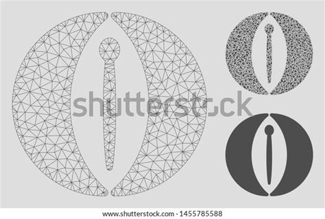 Mesh Female Genitals Model Triangle Mosaic Stock Vector Royalty Free Shutterstock
