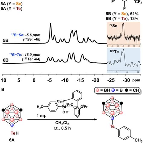 The Role Of DMAP Isolated Yields Download Scientific Diagram